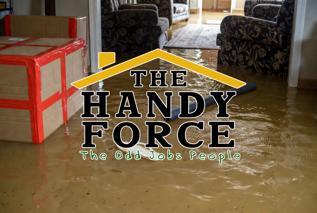 Basement Flooding in Toronto: What Causes It and What You Can Actually ...
